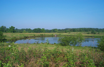 Ponds Program | Georgia Soil and Water Conservation Commission